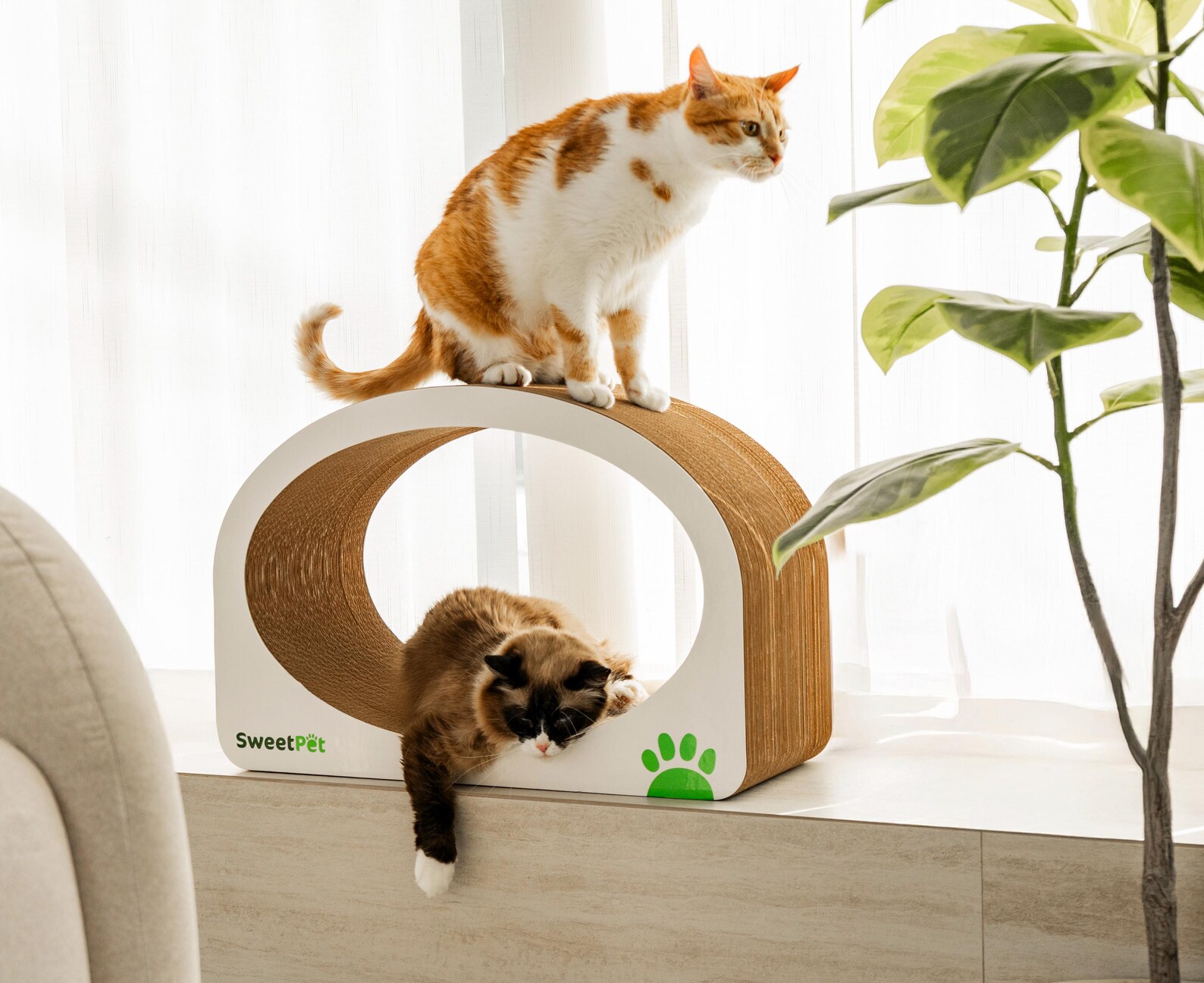 Modern Cat Scratch Post, Sustainable Cat Play Furniture, Durable Kitten ...