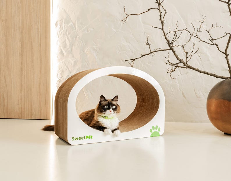 Modern Cat Scratch Post, Sustainable Cat Play Furniture, Durable Kitten ...