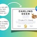 40 Animal Themed Student Award Certificates, Classroom End of Year ...