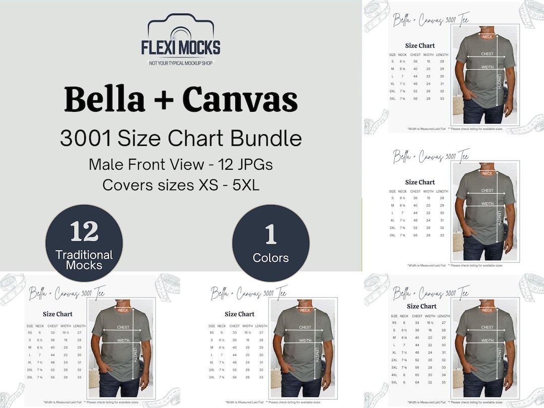 Men's BC3001 Size Chart Mockup | XS to 5XL | Mens Shirt Size Chart ...