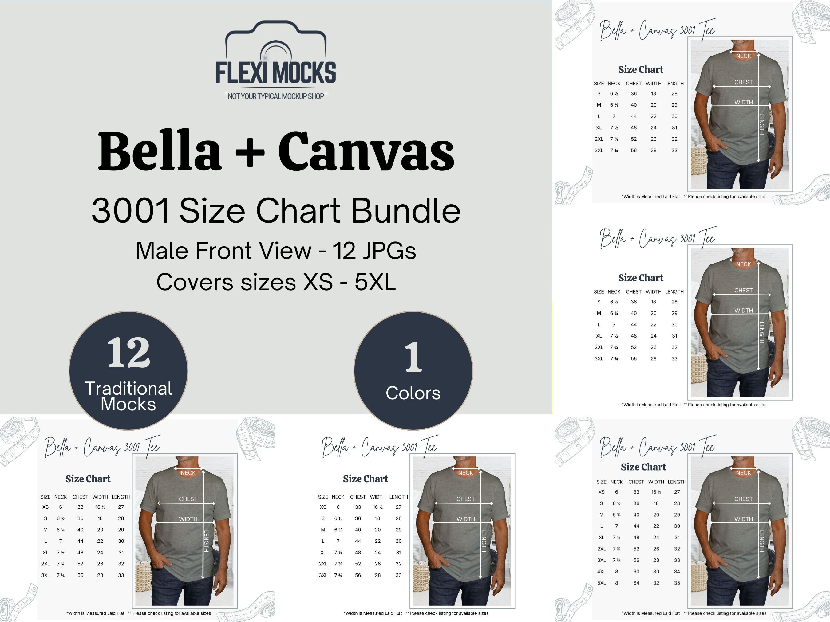Men's BC3001 Size Chart Mockup | XS to 5XL | Mens Shirt Size Chart ...