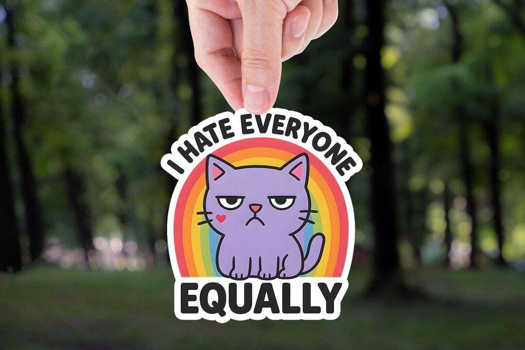 Grumpy Cat Vinyl Sticker: Sarcastic Rainbow Meme, Introvert Humor - Etsy