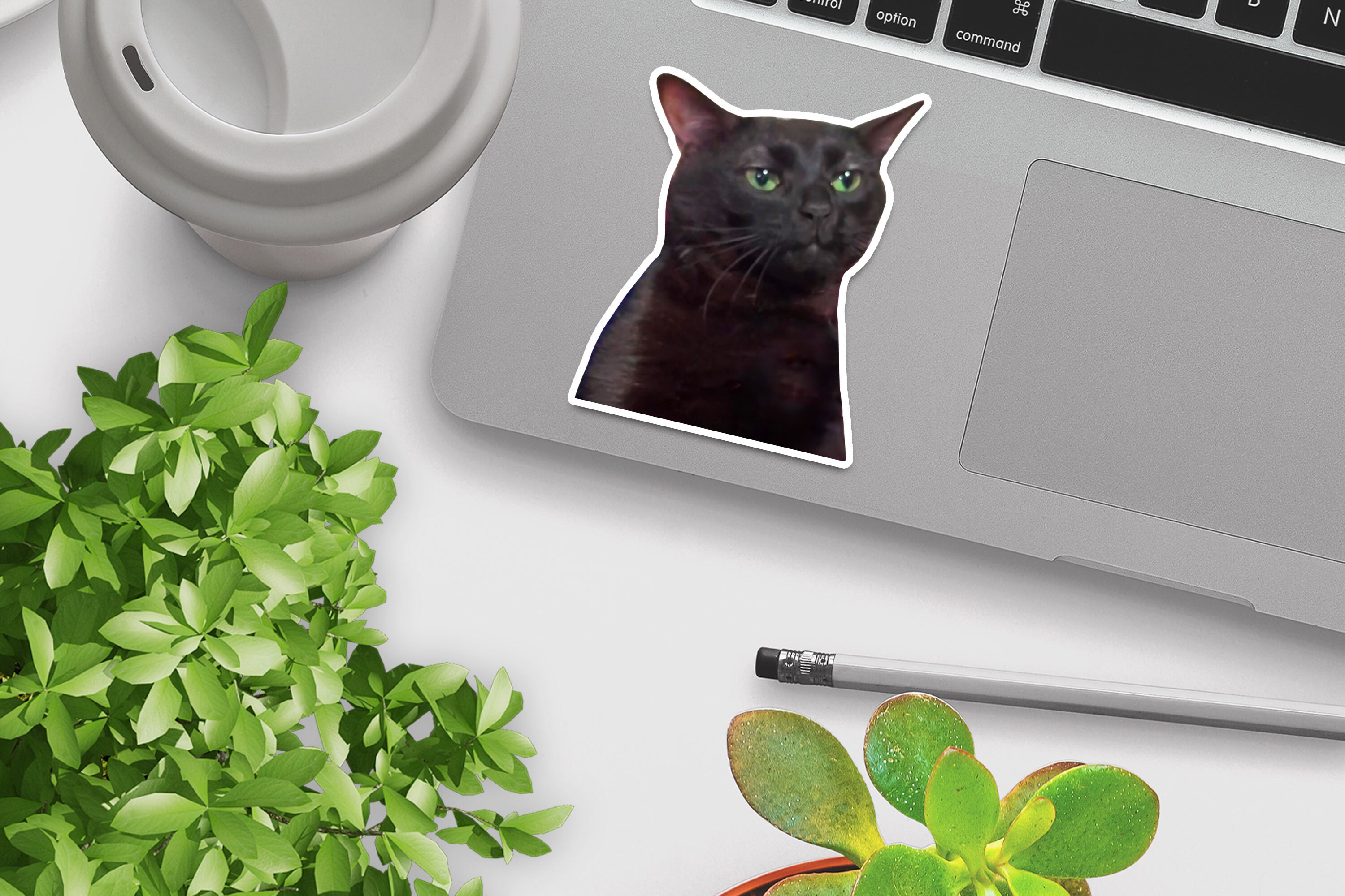 Cat Zoning Out Meme Sticker Meme Vinyl Meme Decal laptop Book Water ...