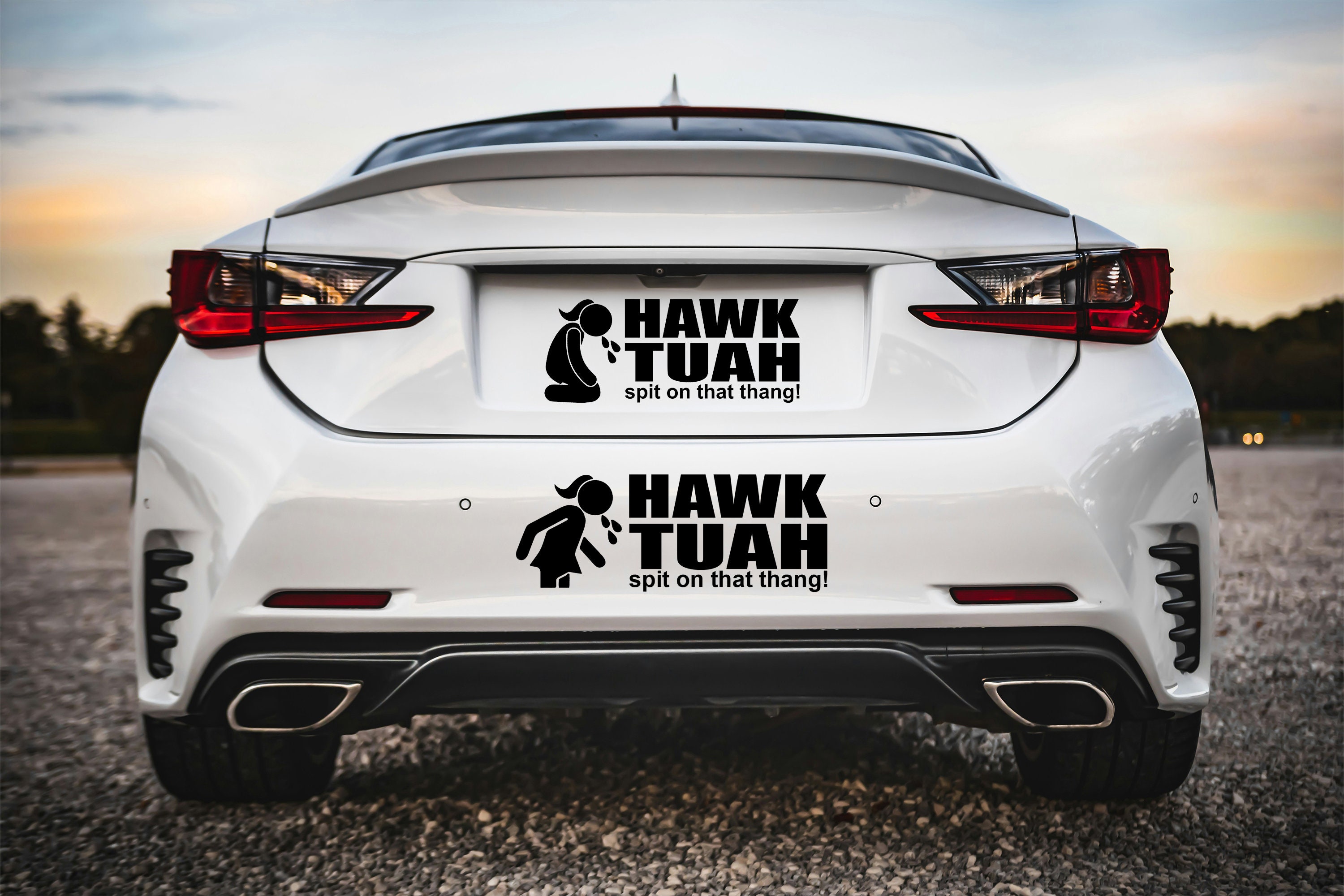Hawk Tuah Sticker Spit on That Thang Vinyl Decal, Car Sticker, Meme ...