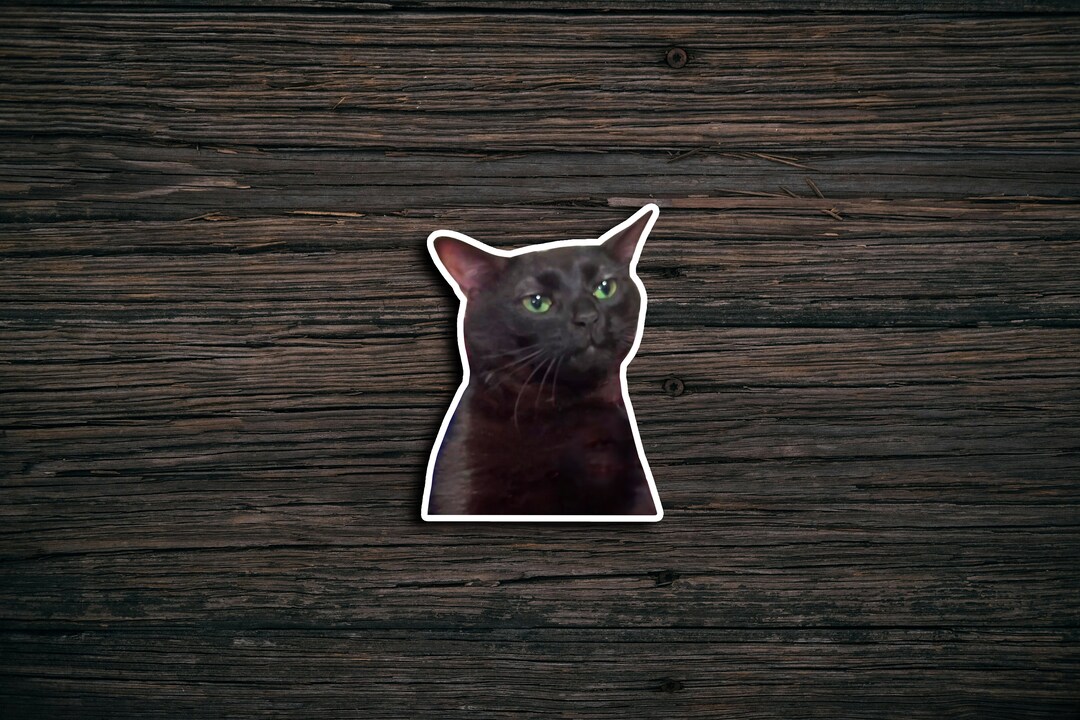 Cat Zoning Out Meme Sticker Meme Vinyl Meme Decal laptop Book Water ...