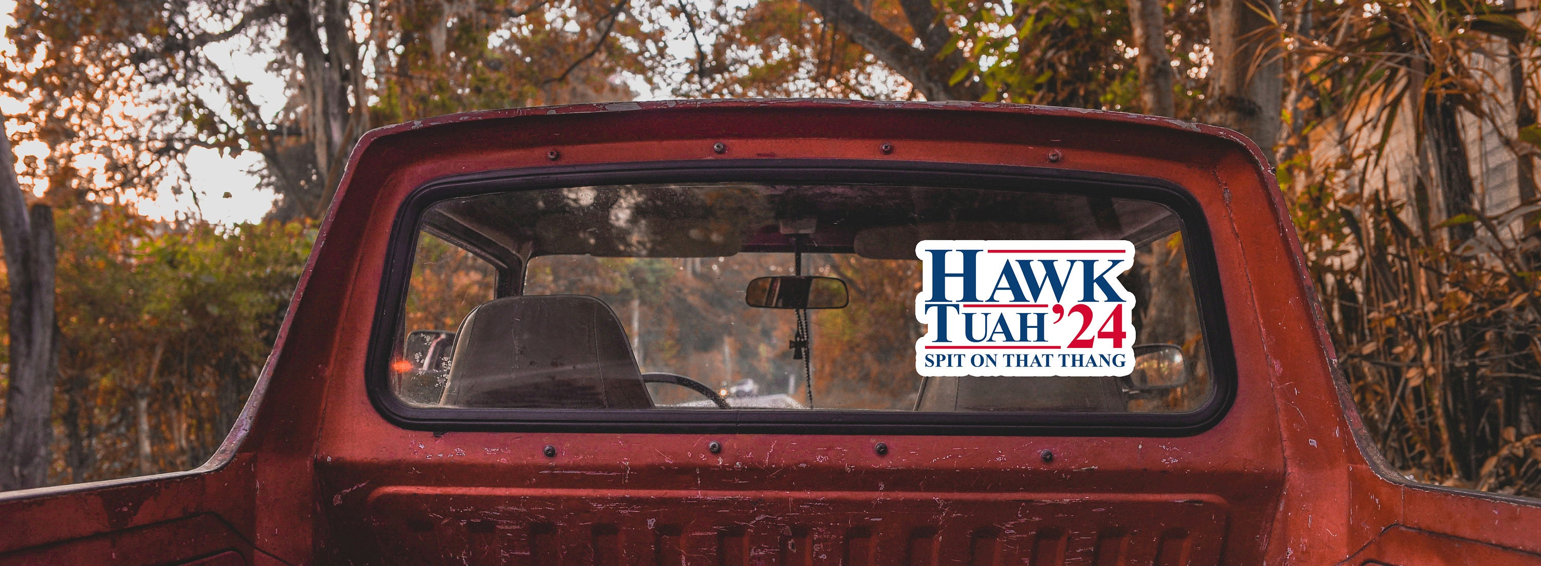 Hawk Tuah Sticker Spit on That Thang Sticker, Car Sticker, Meme Sticker ...