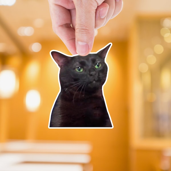 Weird Coworker Sticker, Weird, Work Sticker, Funny Work, Funny Sticker ...