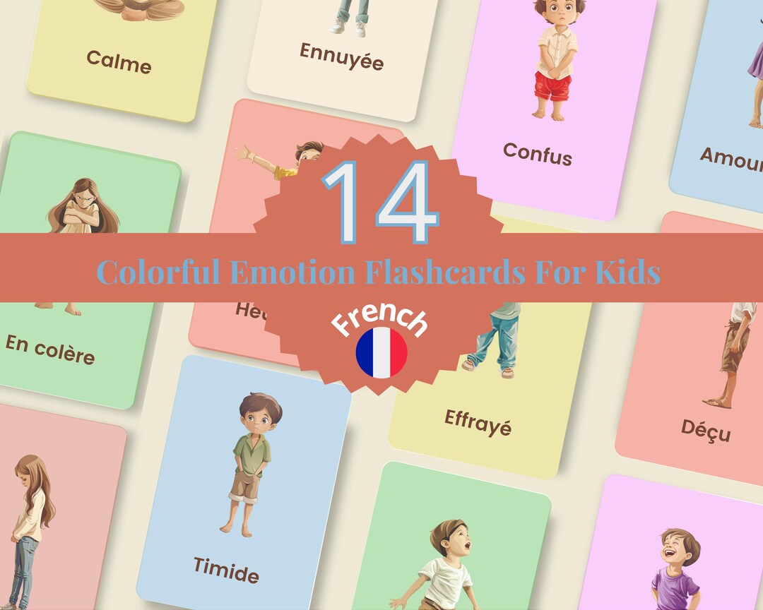 14 Flashcards Emotions in French, Learning French Vocabulary, Fun ...