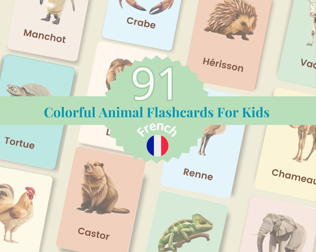 91 Animal Flashcards in French - Etsy