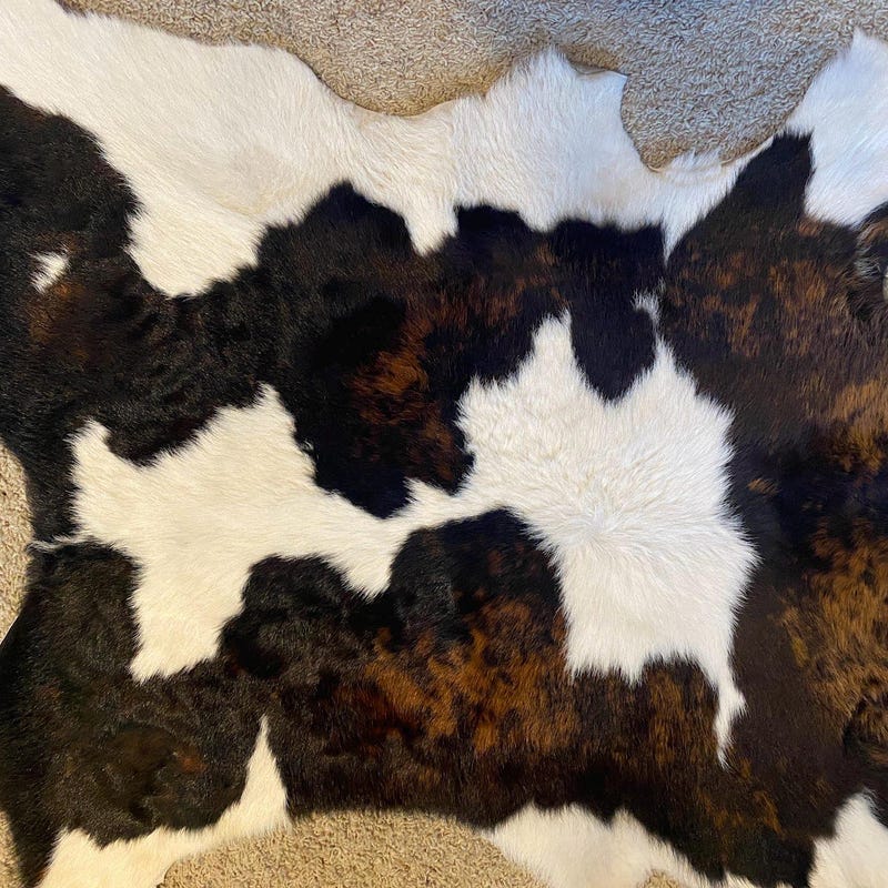 The Cow Pelt - Etsy