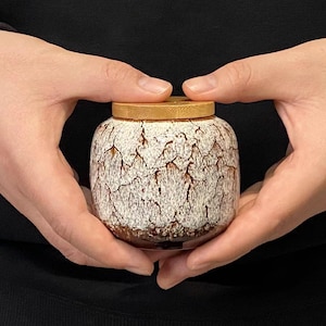 Custom Mini Ceramic Urn, Unique Dog Ashes for Memory Pot, Small Urn for ...