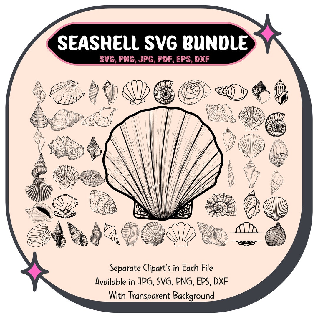 Seashell SVG Bundle, Seashell PNG Bundle, Seashell Clipart, Seashell ...