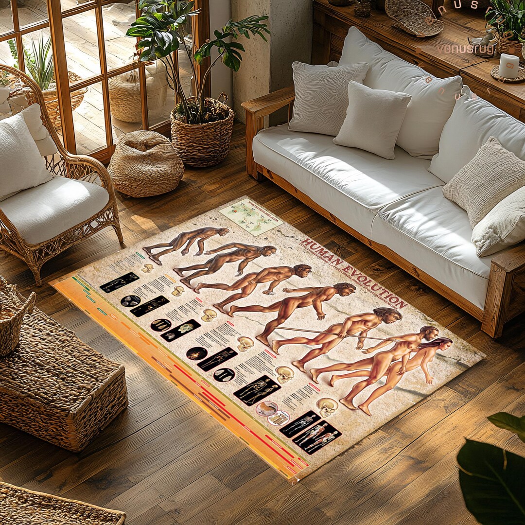 Human Evolution Educational Area Rug,detailed Evolution Chart With ...