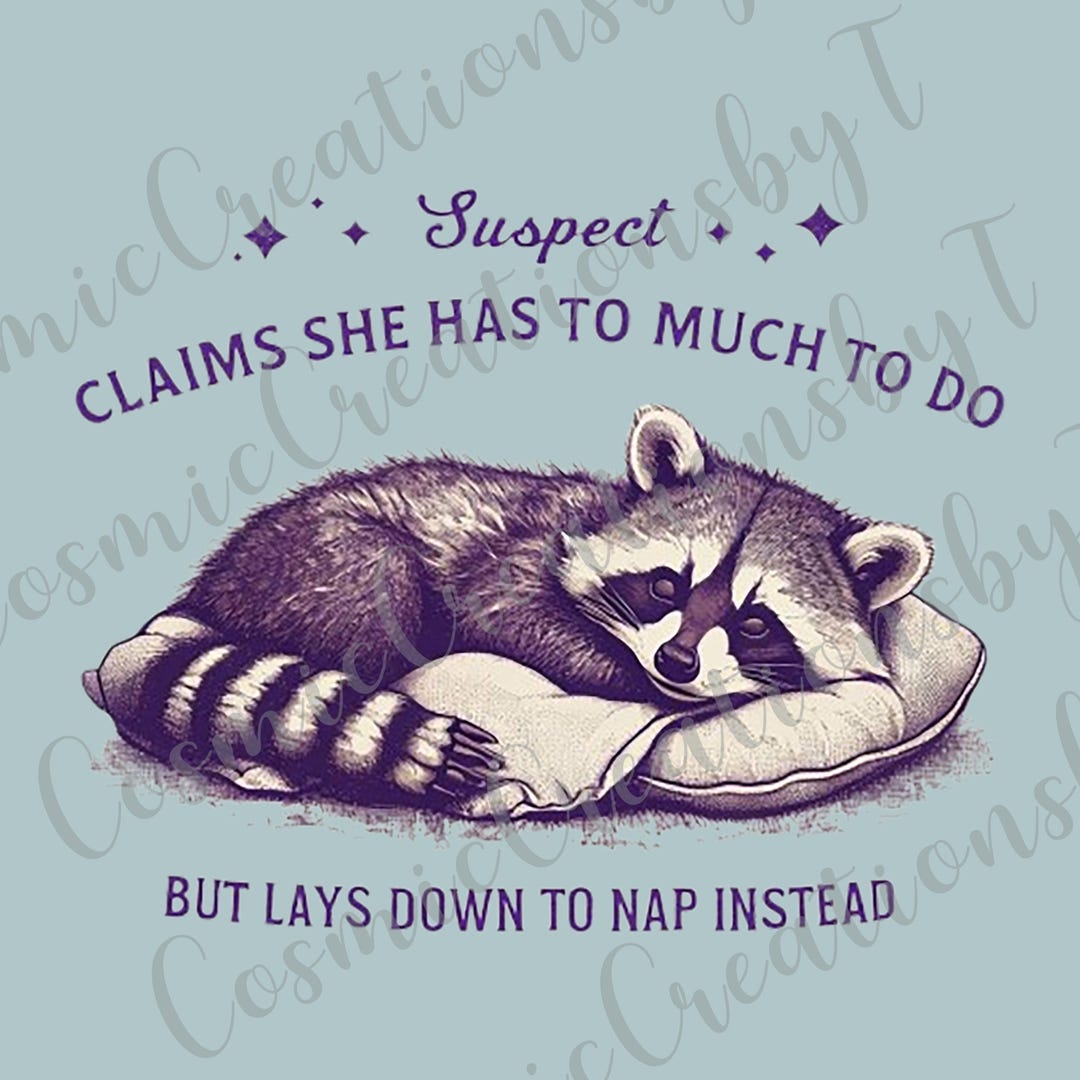 Funny Raccoon Nap Quote Art - Lazy Raccoon PNG (digital Download) - Etsy