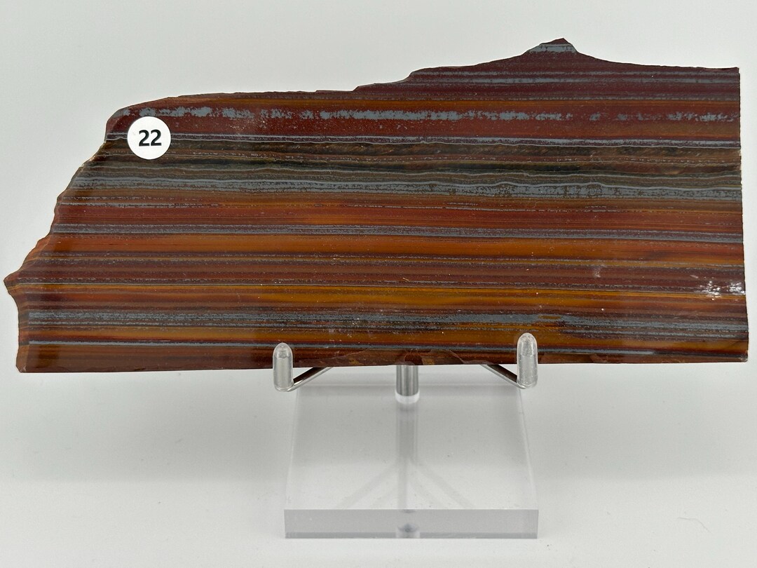 Tiger Iron 7" Slab #22 (natural Crystal) & Acrylic Padded Metal Prong ...