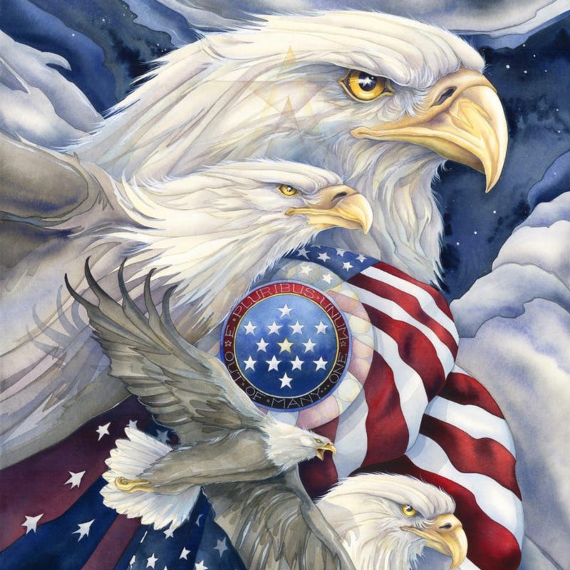Eagle Fabric Panels - Etsy