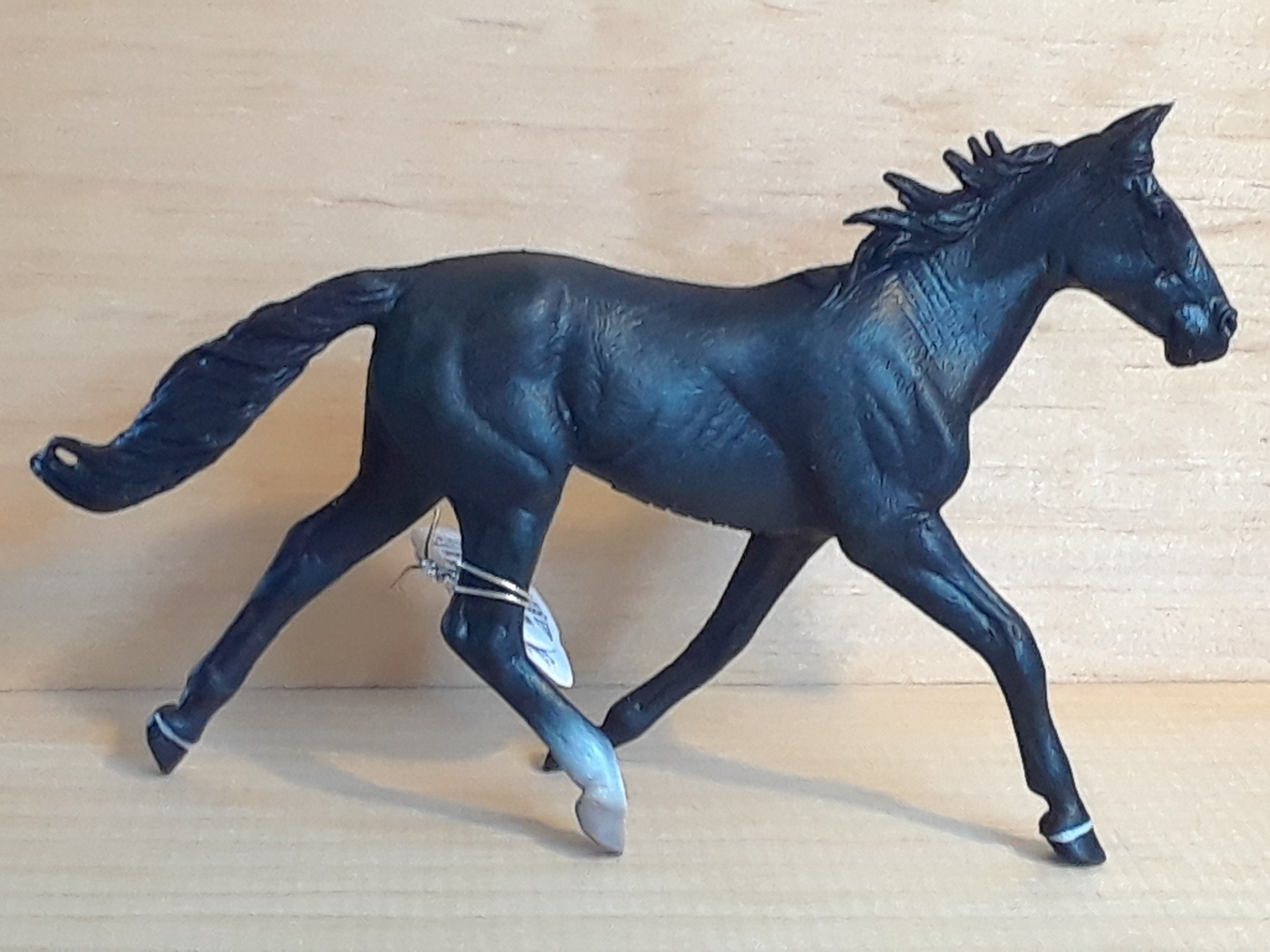 Black Standardbred