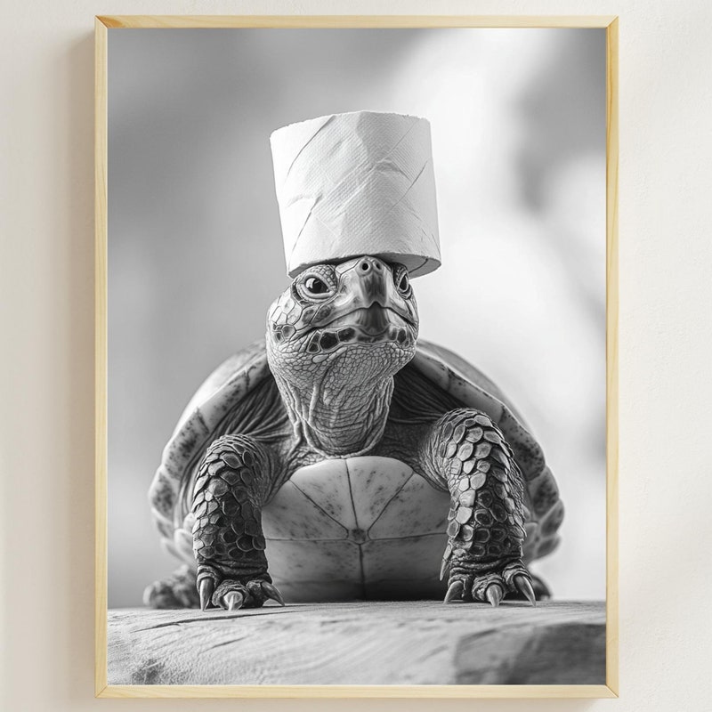 Funny Turtle Bathroom Art - Etsy