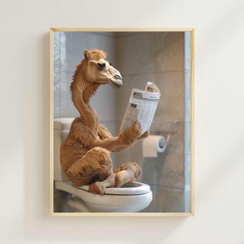 Funny Camel Pictures - Etsy