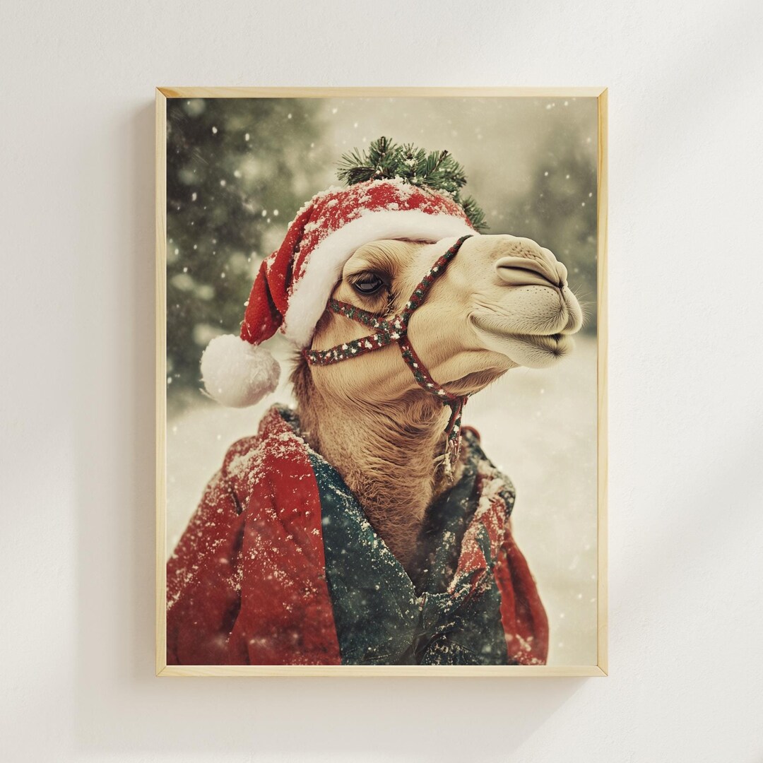 Camel in Christmas Clothes, Holiday Camel Wall Art, Funny Christmas ...