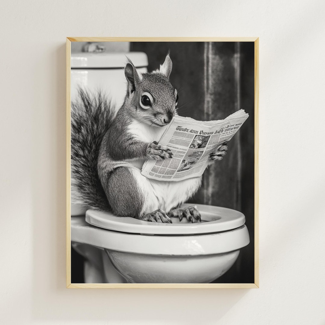 Squirrel Sitting on the Toilet Reading a Newspaper, Funny Bathroom Wall ...