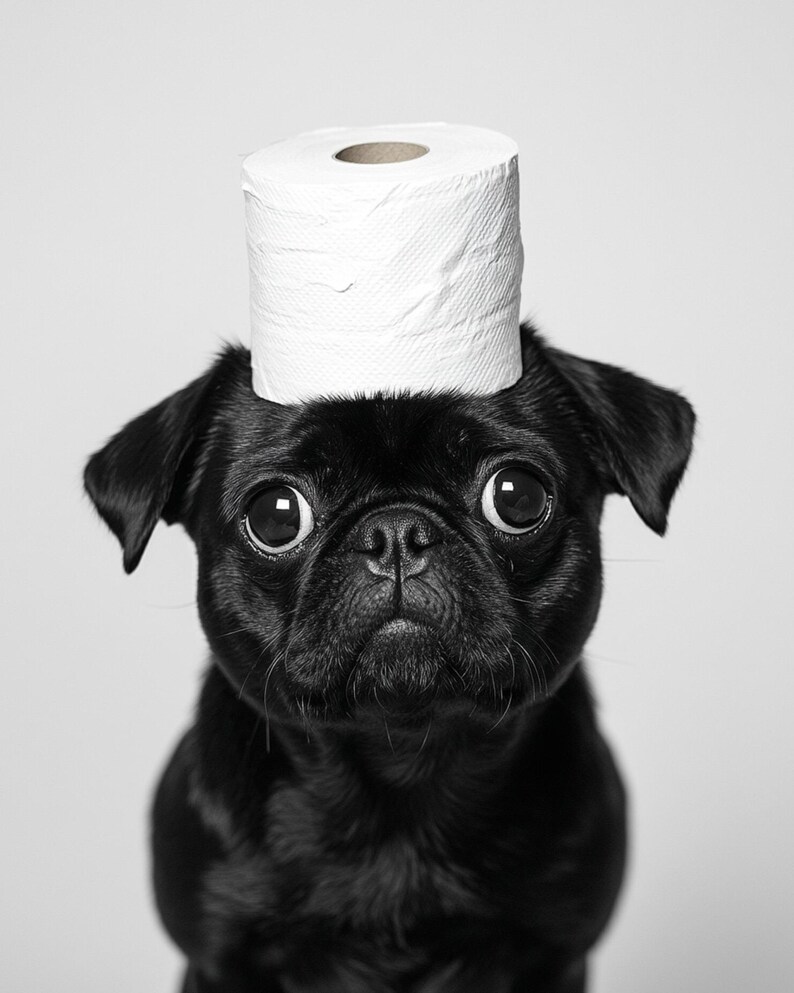 Funny Pug Bathroom Art Print, Toilet Paper Humor (digital Download) - Etsy