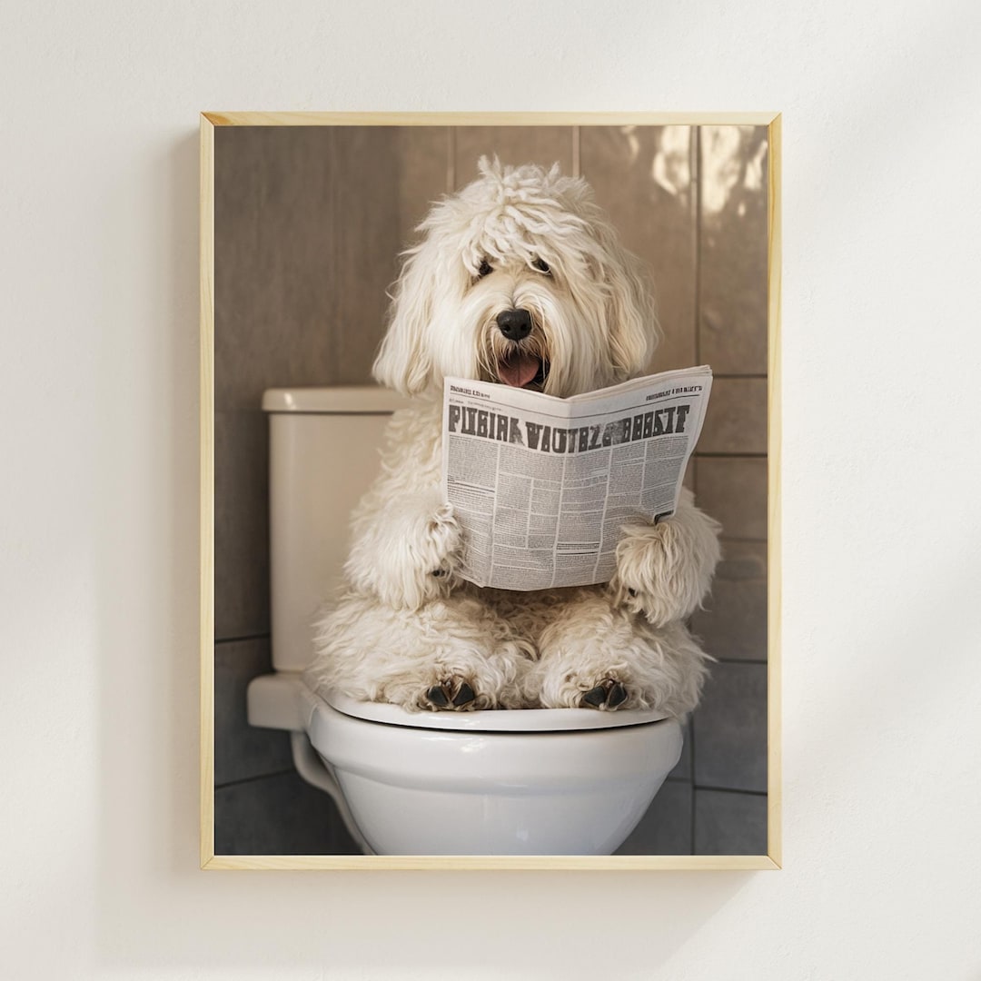 Old English Sheepdog Sitting on the Toilet Reading a Newspaper, Funny ...