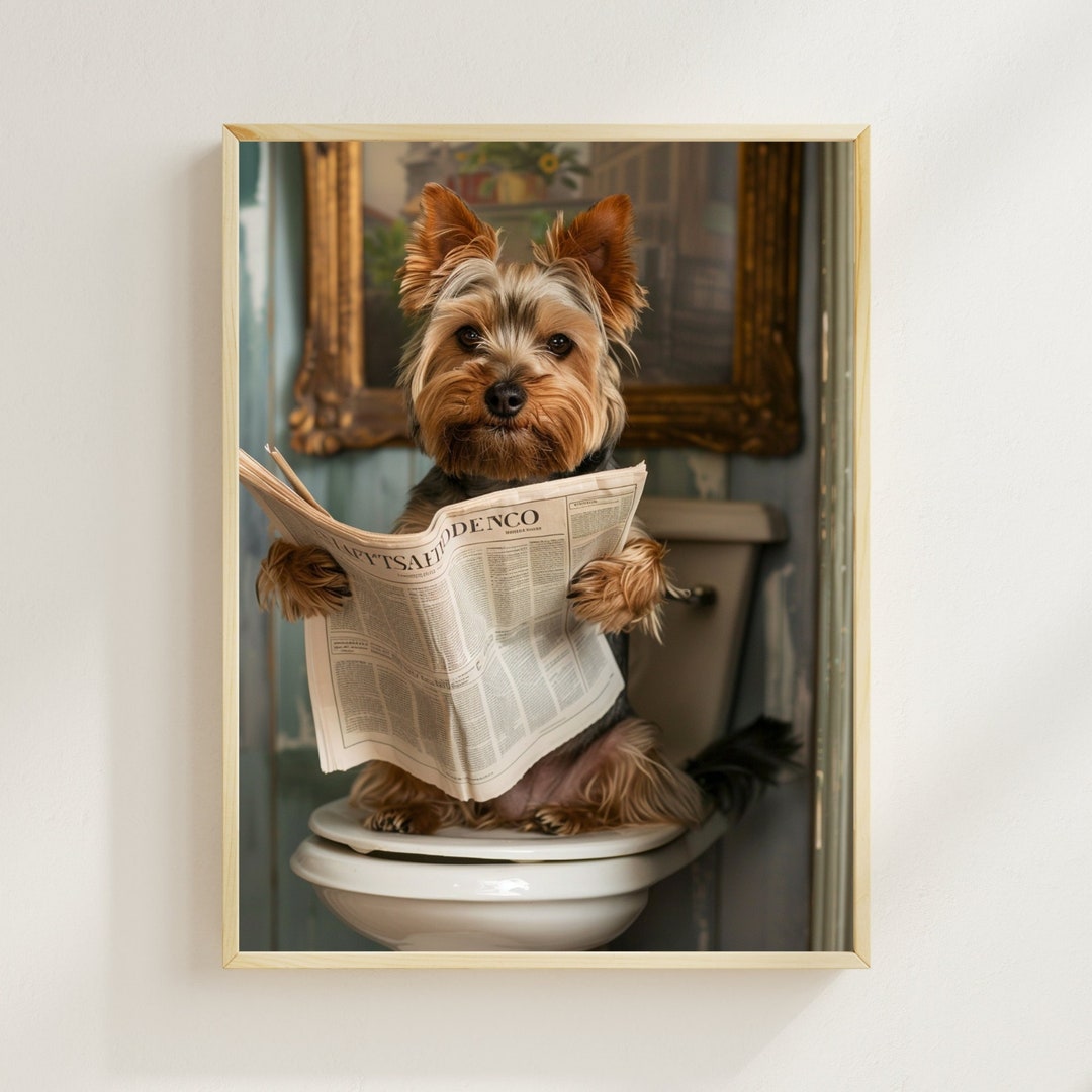 Yorkshire Terrier Sitting on the Toilet Reading a Newspaper, Funny ...