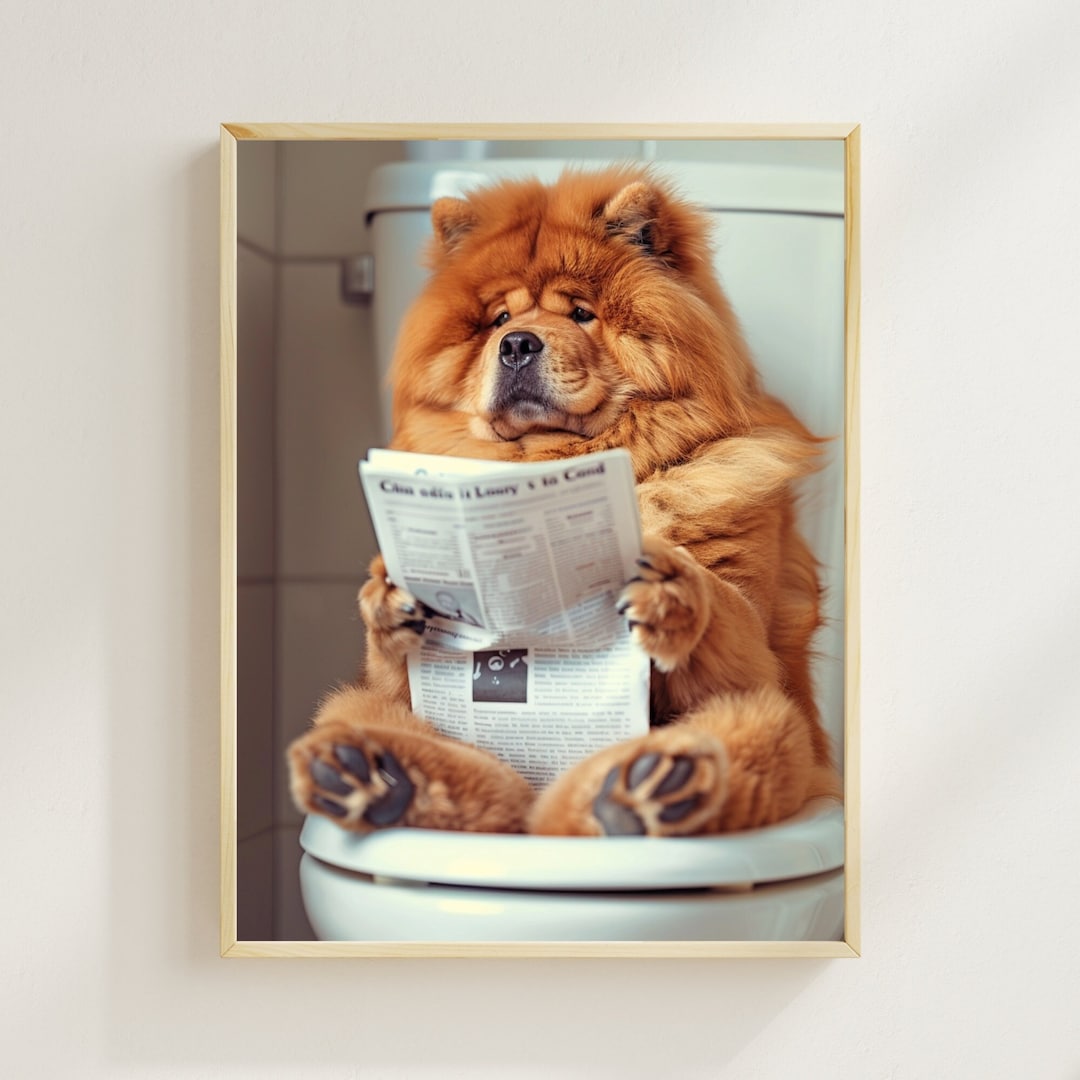 Chow Chow Sitting on the Toilet Reading a Newspaper, Funny Bathroom ...