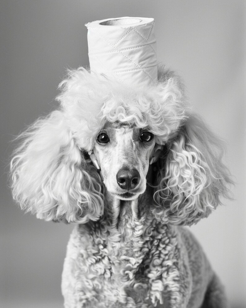 Poodle With a Toilet Paper Roll on the Head, Printable Bathroom Art ...