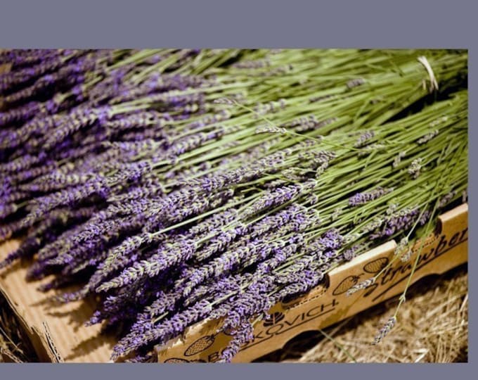 500 Stems of Dried French Lavender Bulk DIY Decor Wedding Flowers ...