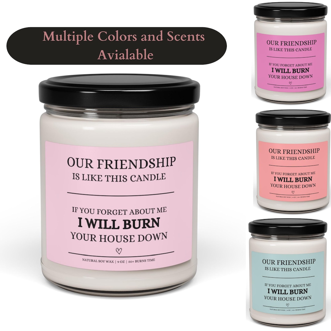 Our Friendship is Like This Candle, Friendship Soy Candle, Friendship ...
