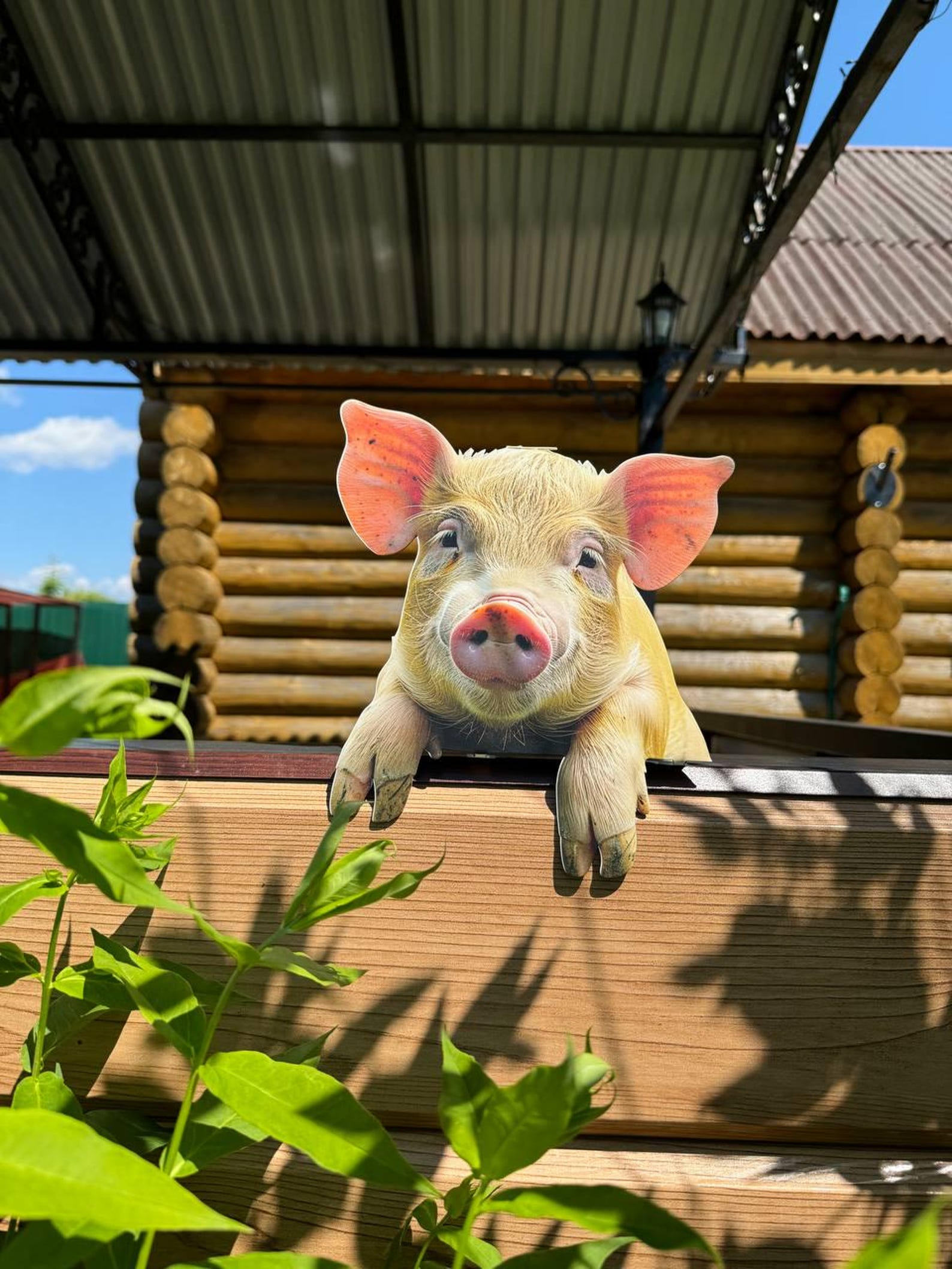Whimsical Pig Outdoor Garden Decor for Home or Farm Housewarming Gift ...
