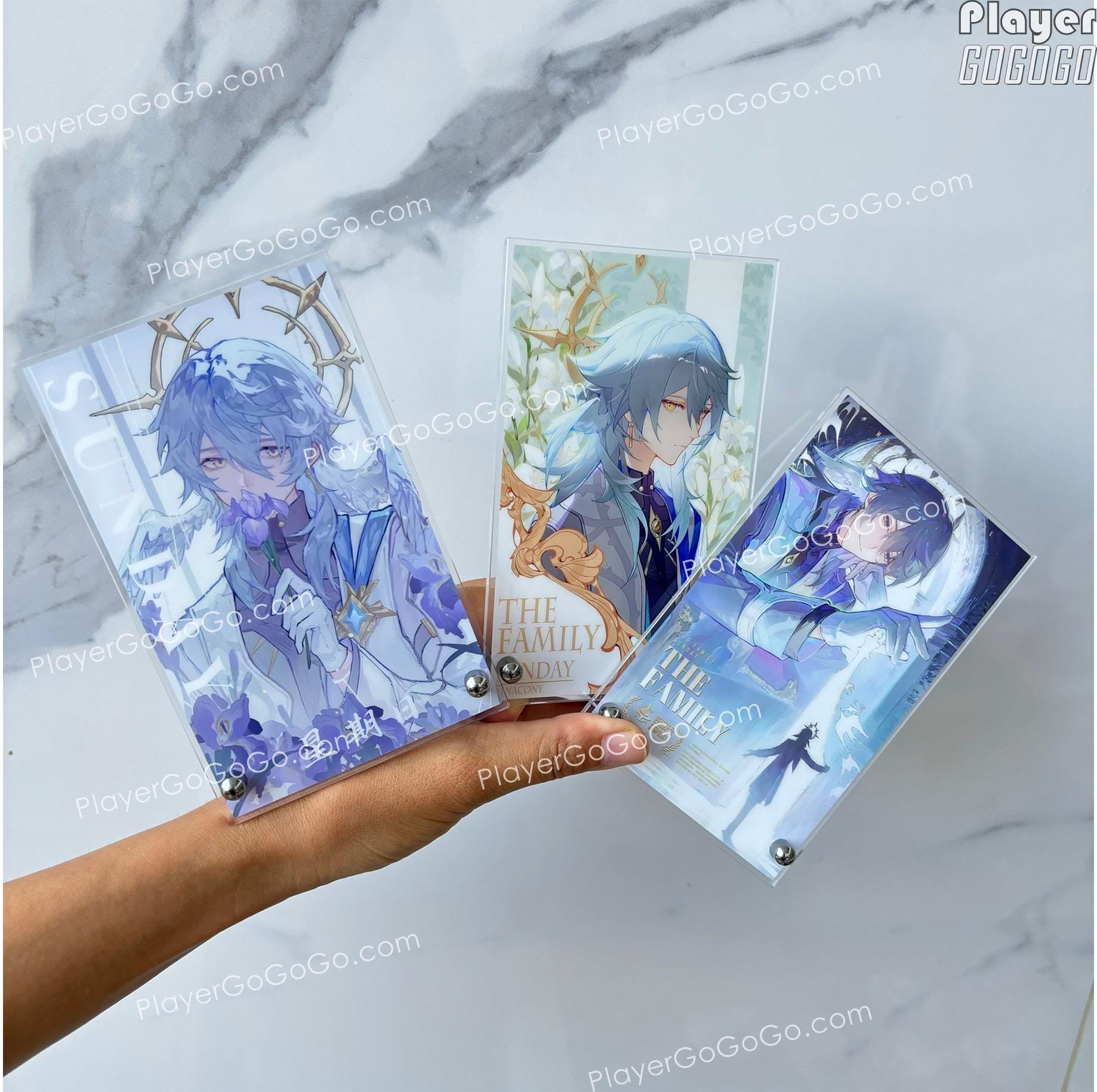 Honkai: Star Rail Robin, Sunday, Stelle, Caelus Art Print - HSR ...