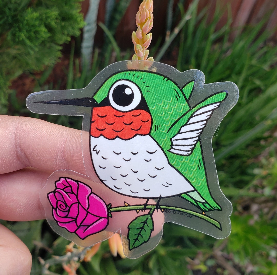 Colibri Clear Vinyl Sticker - Etsy