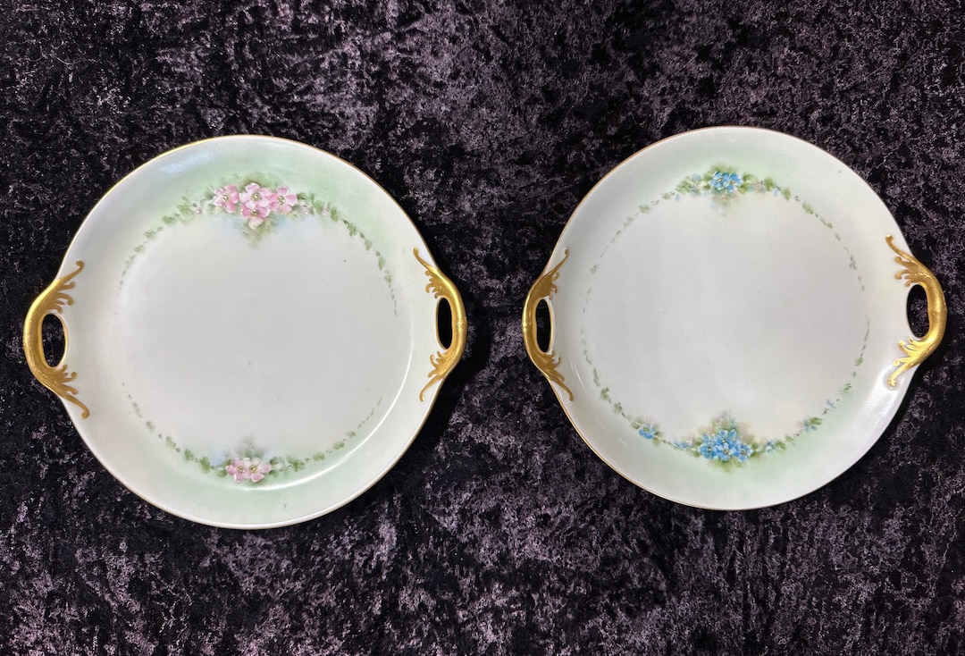 Vintage German Porcelain Plates - Pink and Blue Set - Etsy