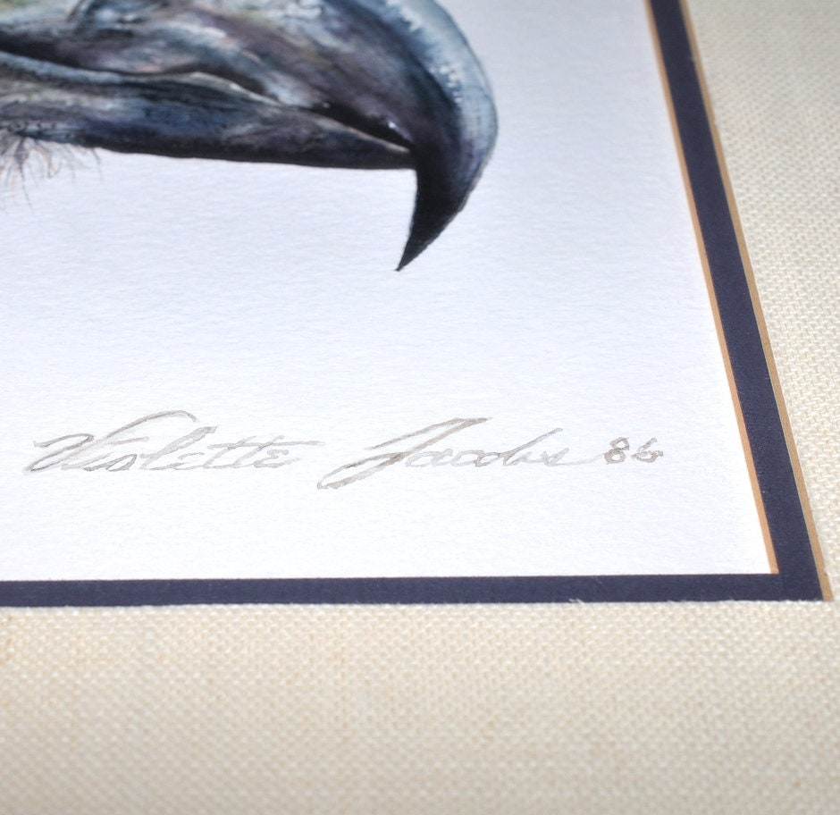 Vintage Exceptional Original Watercolor Painting Osprey by Violette ...