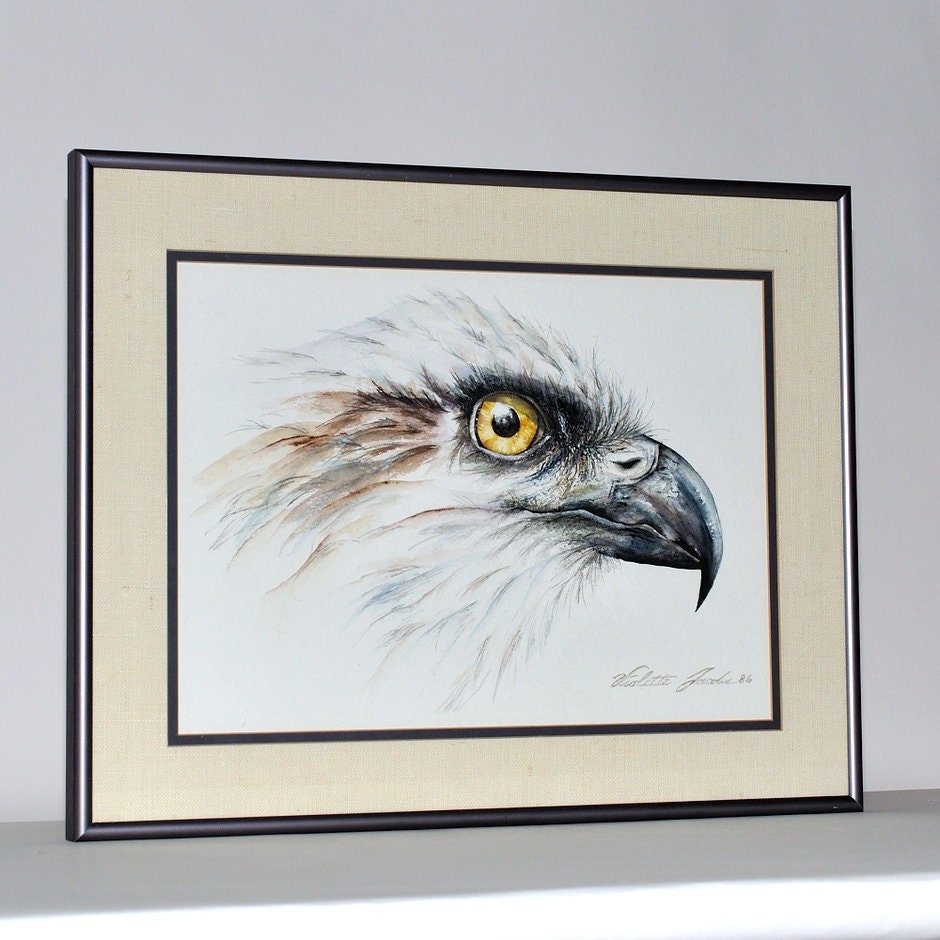 Vintage Exceptional Original Watercolor Painting Osprey by Violette ...