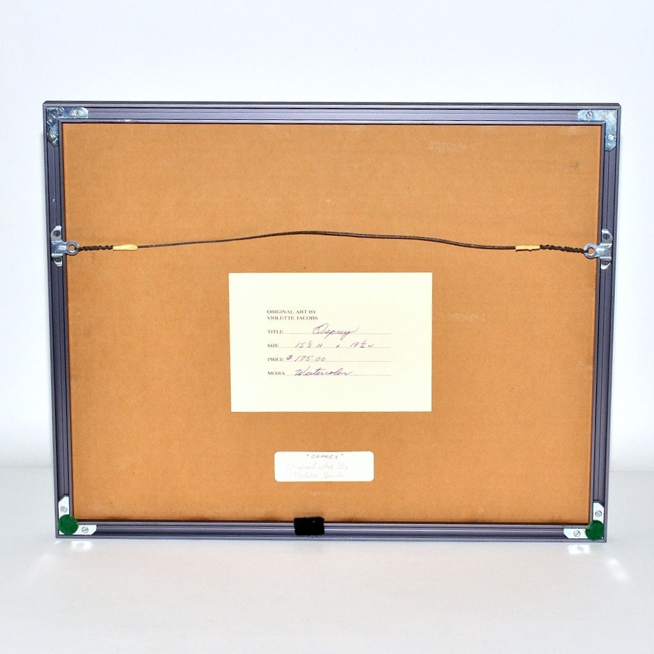 Vintage Exceptional Original Watercolor Painting Osprey by Violette ...