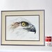 Vintage Exceptional Original Watercolor Painting Osprey by Violette ...