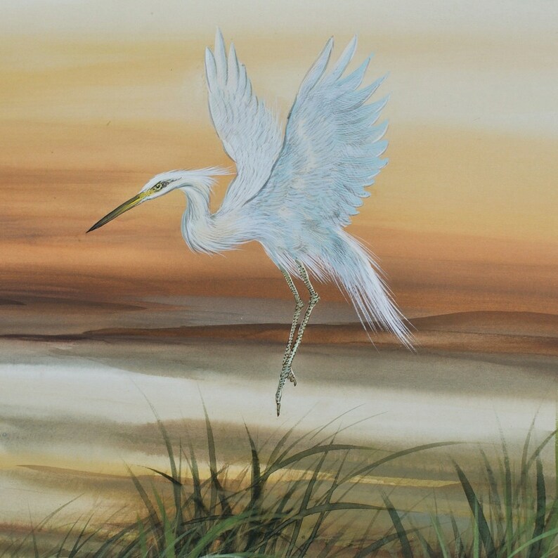 Vintage Watercolor Painting Great White Herons and Reeds at Sunset ...