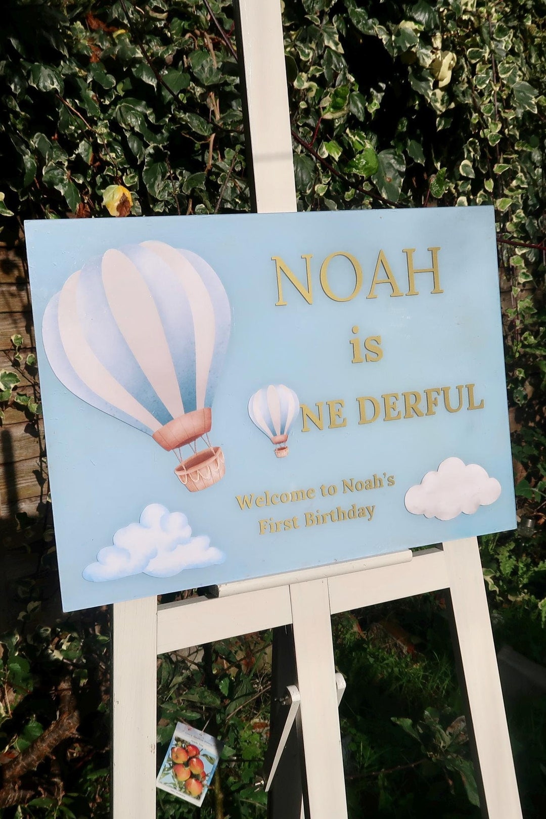 Personalized First Birthday Acrylic Sign: Hot Air Balloon Party Decor ...