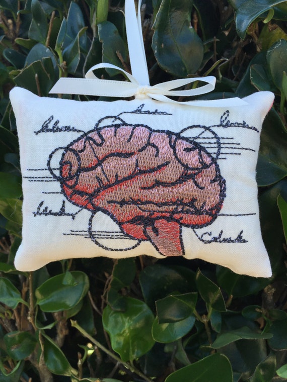 Anatomical Brain Diagram Christmas Ornament Door Knob Hanger | Etsy