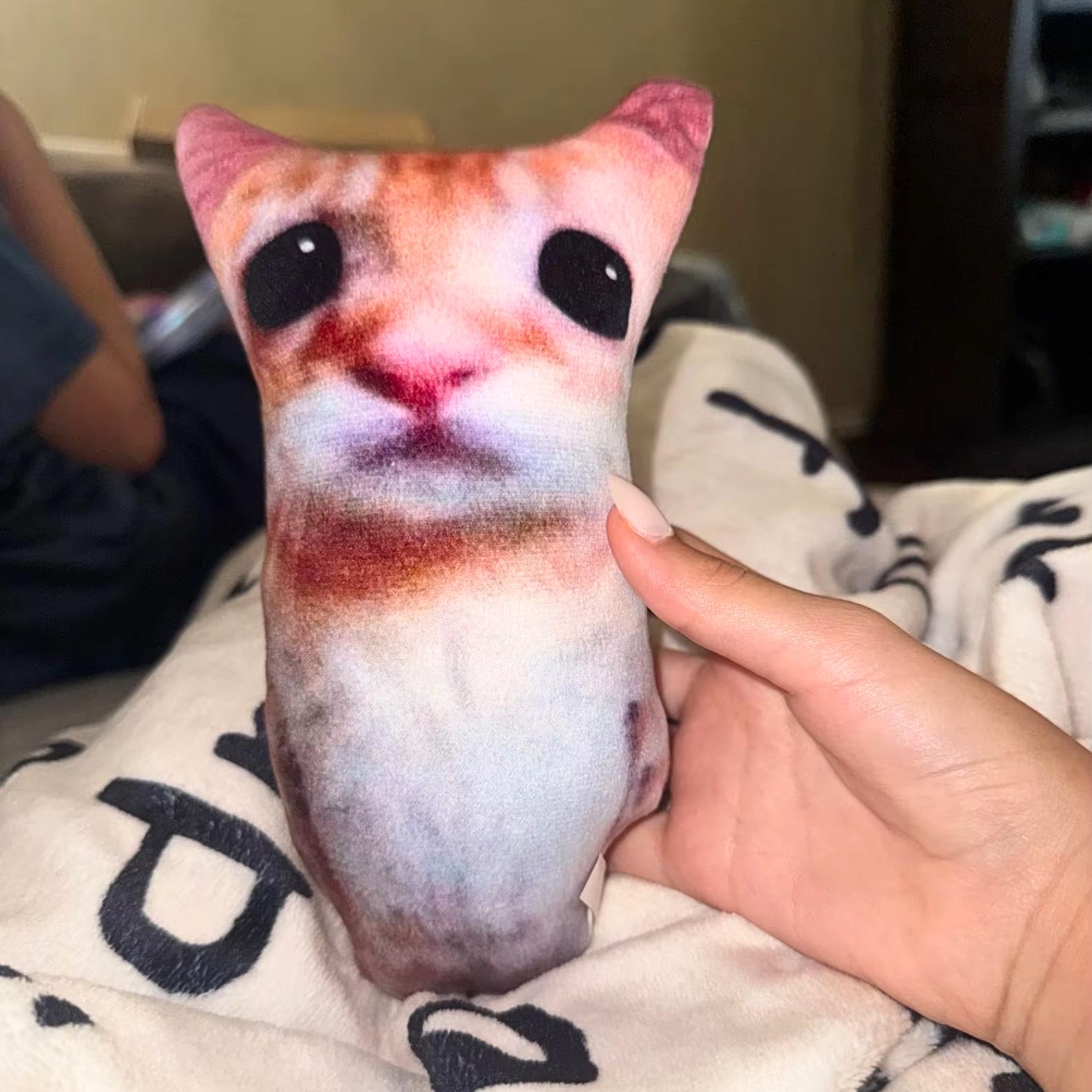 Cat Meme Plush, Cute Cat Doll Plushie, Soft Stuffed Animals Toy ...