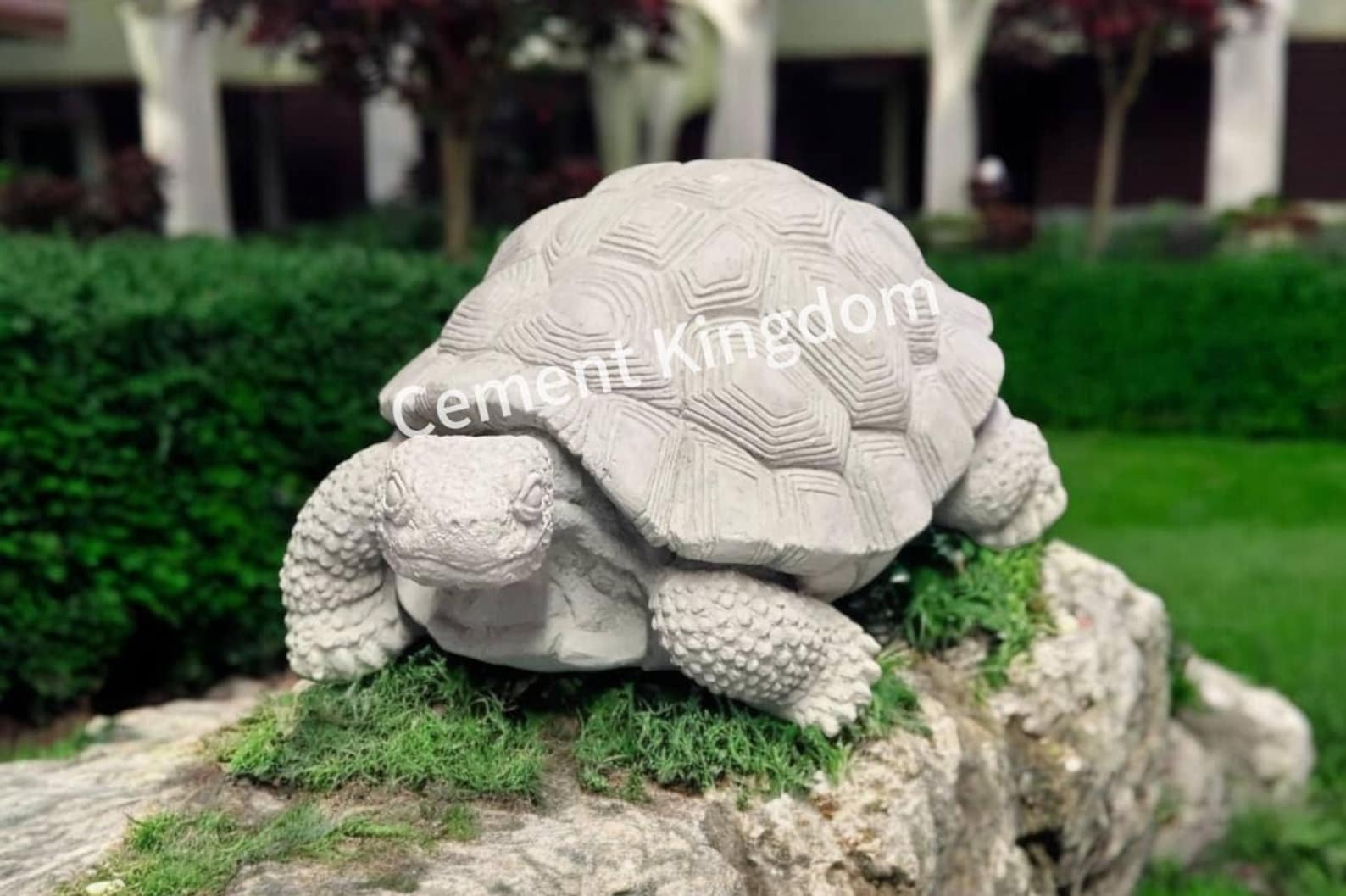 Concrete Outdoor Turtle Statue, Massive Detailed Turtle Statuary, Patio ...