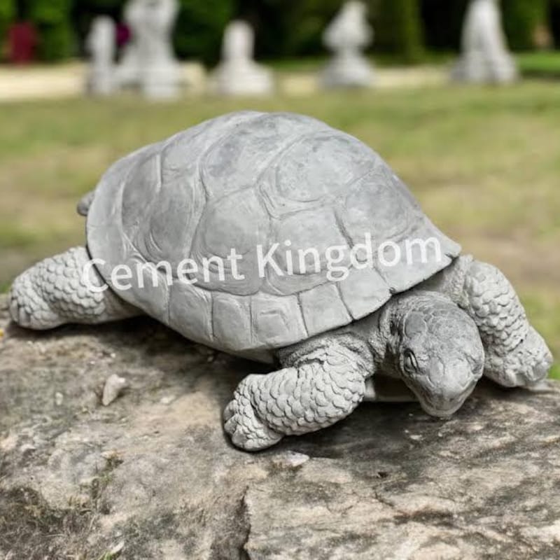 Large Turtle Concrete - Etsy
