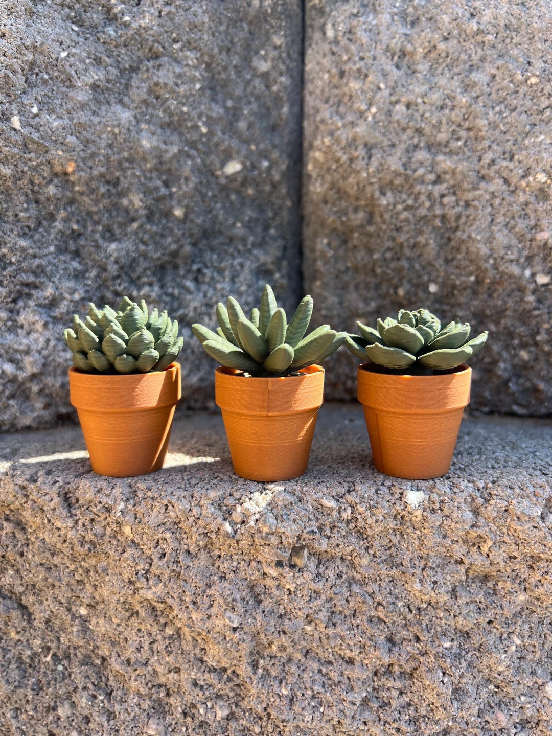 Succulent Fidget Spinner – 3D Printed Desk Toy, Stress Relief Spinner ...
