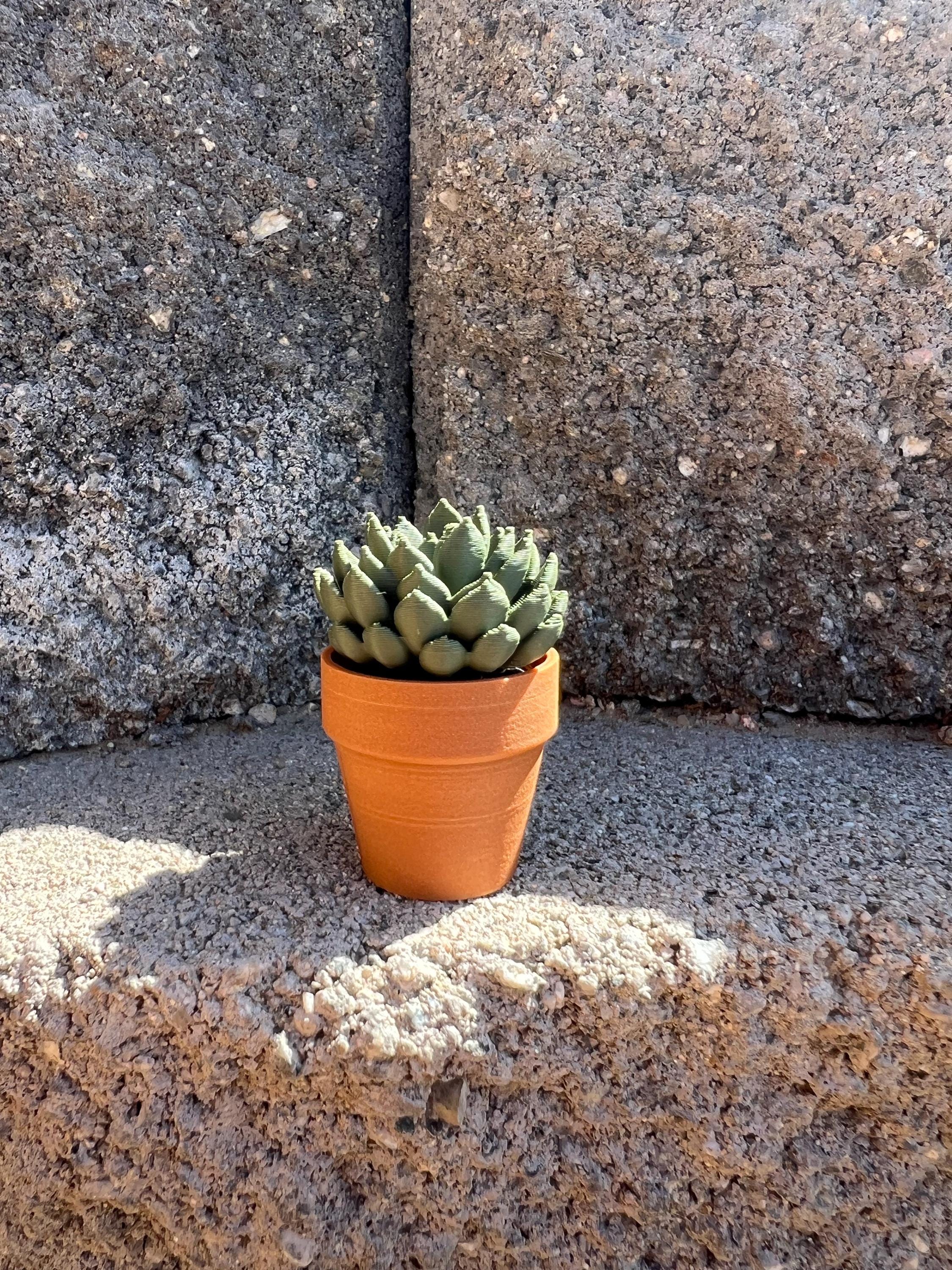 Succulent Fidget Spinner – 3D Printed Desk Toy, Stress Relief Spinner ...