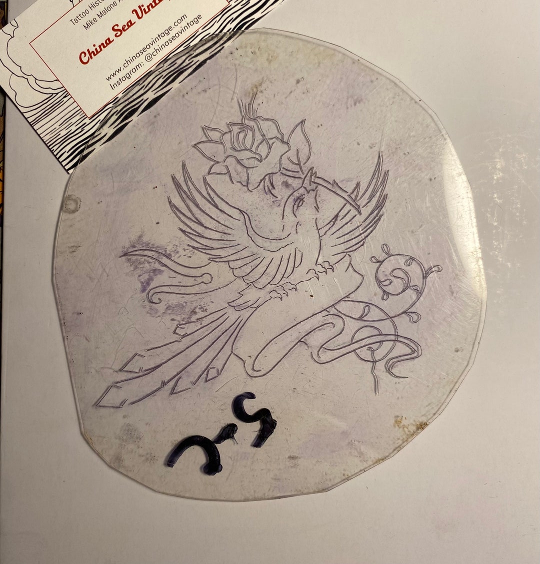 Mike Malone Acetate Stencil-china Sea BIRD Rose by Rollo Tattoo - Etsy