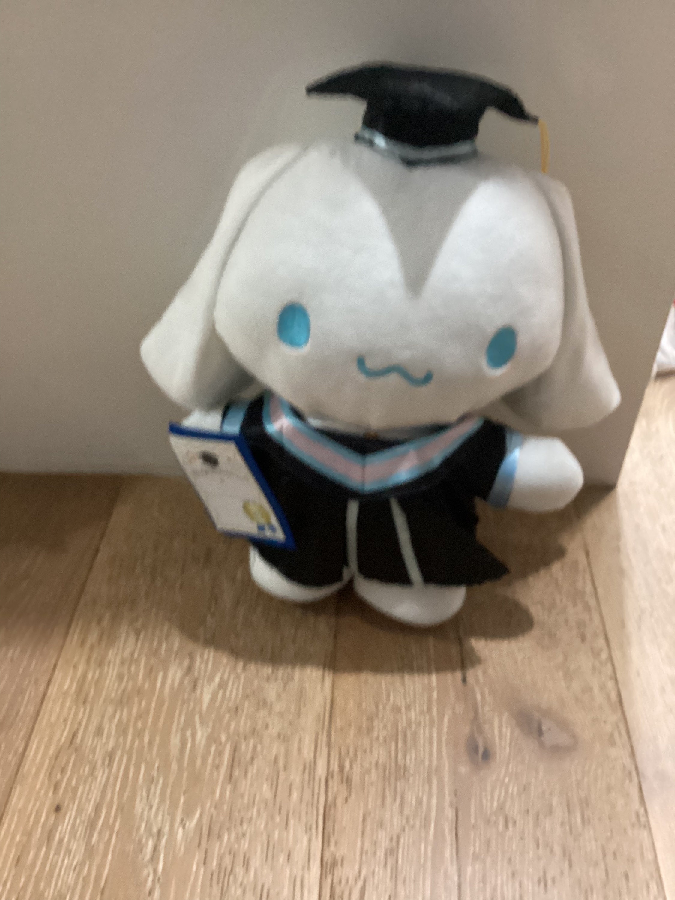 Graduation Cinnamoroll 35cm - Etsy